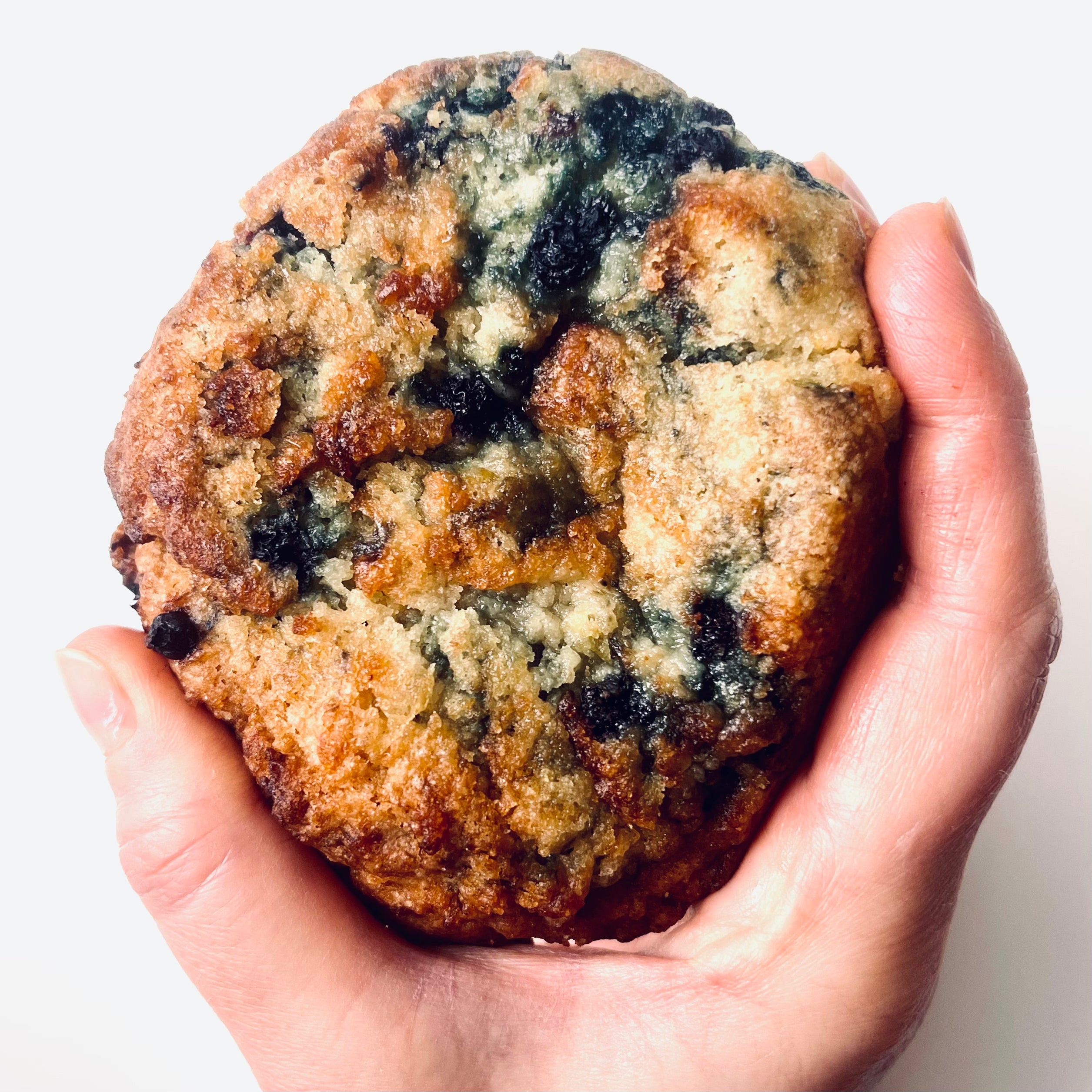 Our Bakes – Seven Grams Caffé